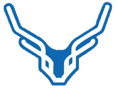 Statistics Football | Estadísticas del Football Mexicano