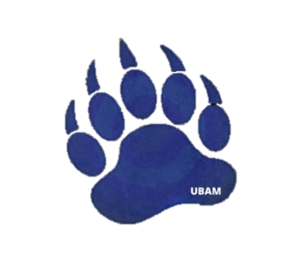 Statistics Football | Estadísticas del Football Mexicano